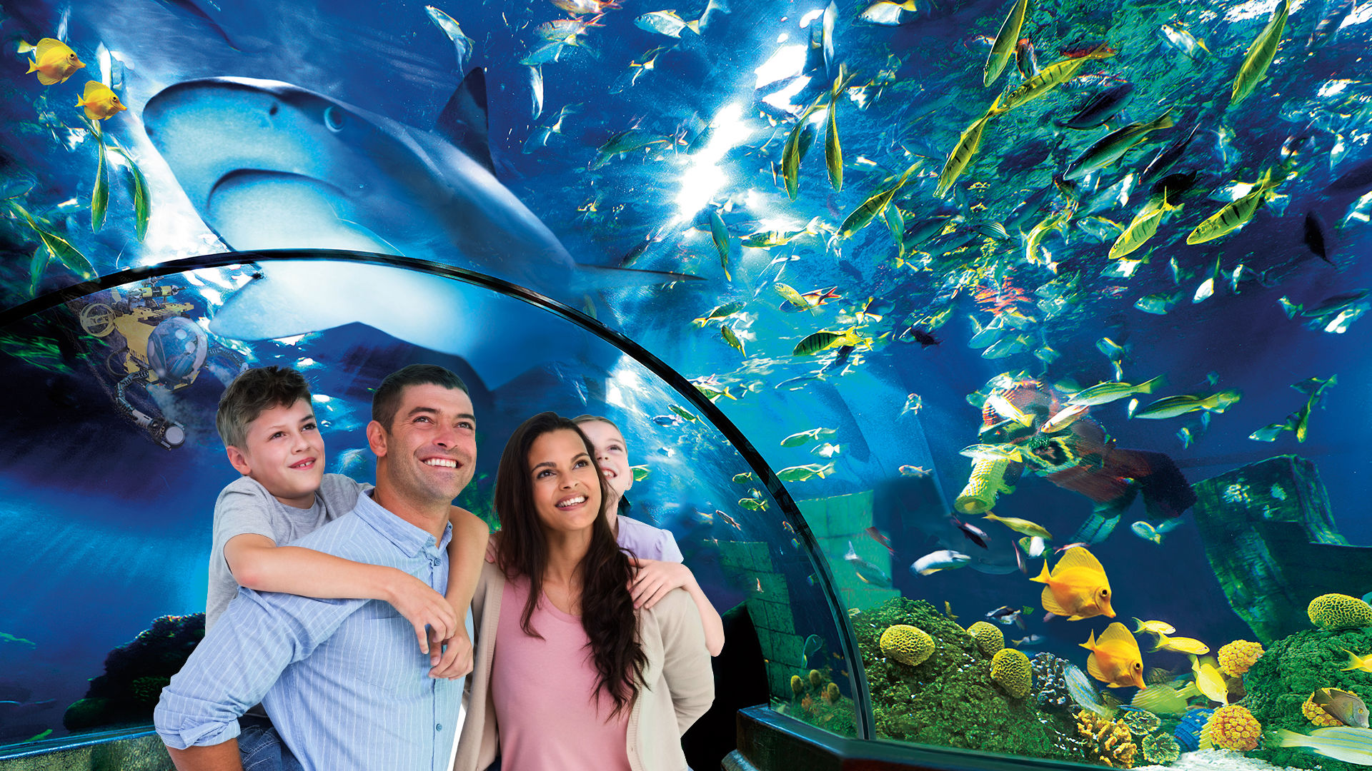 Atlantis by SEA LIFE™